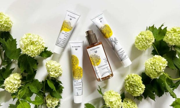 Lauter Dr. Hauschka-Klassiker: Die Wundklee Limited Edition 2024 - Hey ...