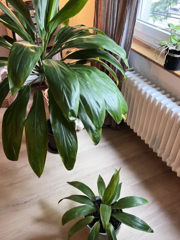 Spa Review: Ohana Facial & Bodywork - Hey Pretty